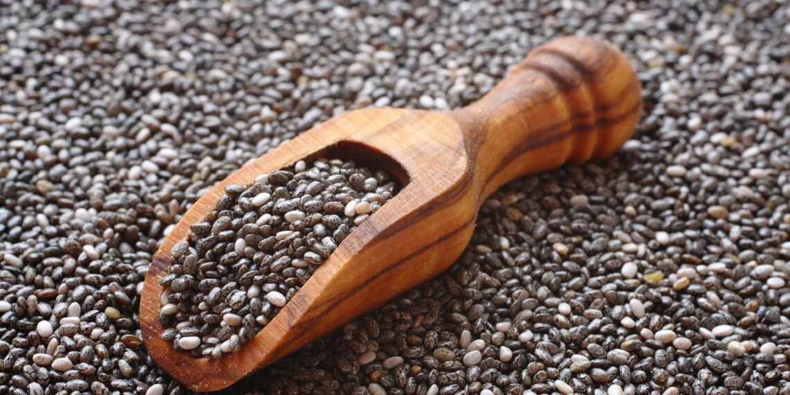 Como plantar chia em qualquer clima e colher seus frutos nutritivos ...