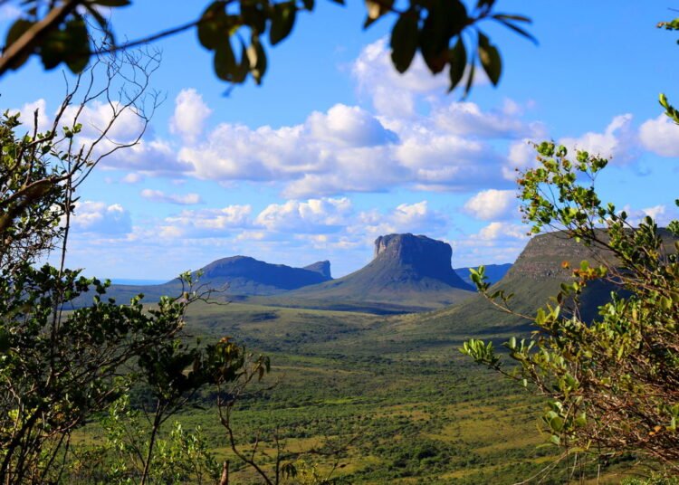 Uai, trem e ouro? Conheça agora a origem do dialeto "mineirês ...