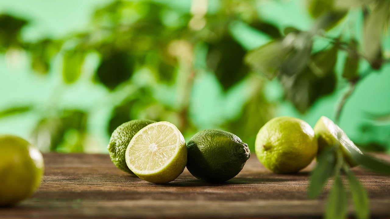 Como plantar limão galego e garantir uma árvore produtiva e bonita
