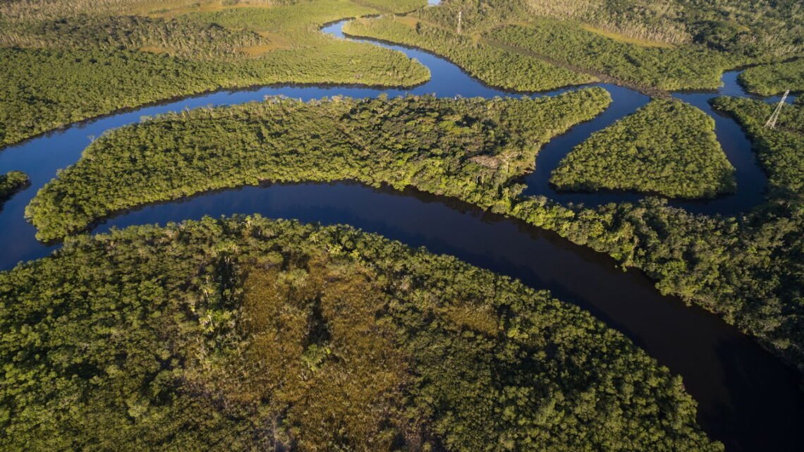 Você sabia que existe um rio subterrâneo fluindo sob o Rio Amazonas ...