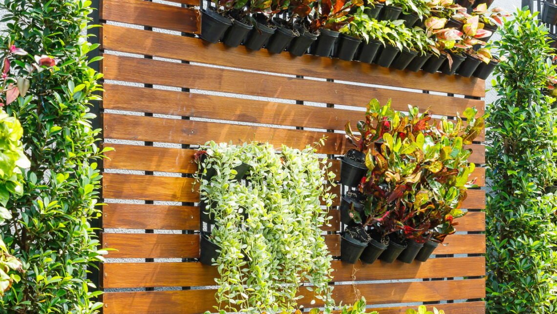 Como fazer um jardim vertical com treliça de bambu e vasos suspensos ...