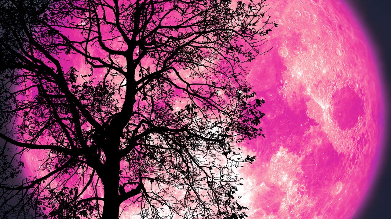 A Lua de Morango acontece na próxima terça (10) e com mistério que só ...