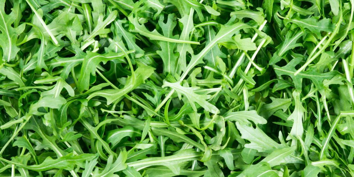 O que você precisa saber para plantar rúcula e colher rápido em casa
