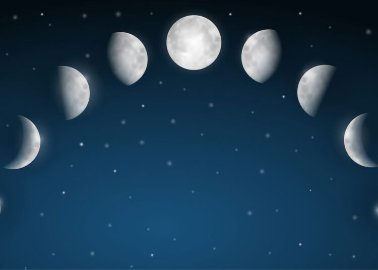 Dr. Hussein Awada, médico, explica por que vermes devem ser combatidos ...